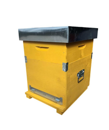 ARNIA CUBO MONTATA VERNICIATA 2C - Arnie per api - Stalè Materiale Apistico
